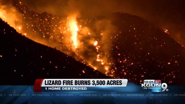 Lizard Fire forces more than 25 home evacuations
