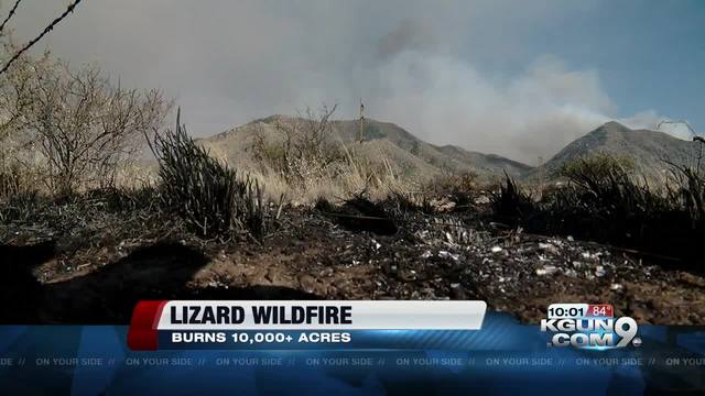 Lizard Fire containment at 15 percent