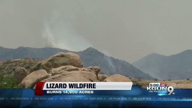 Lizard Fire containment at 15 percent