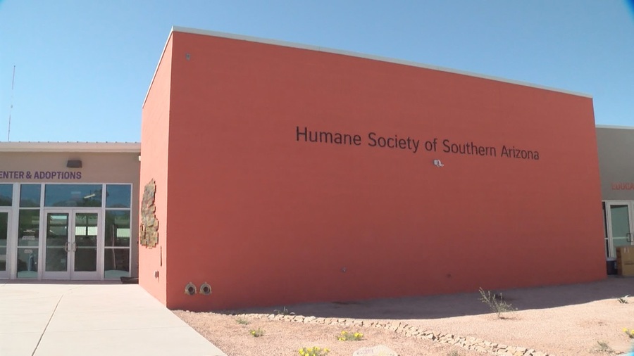 Humane Society of Southern Arizona hosts grand opening of new facility ...