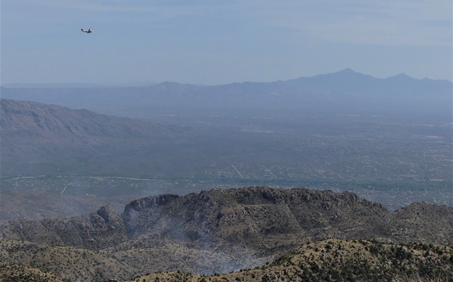 Wildfire burning on Mount Lemmon - KGUN9.com